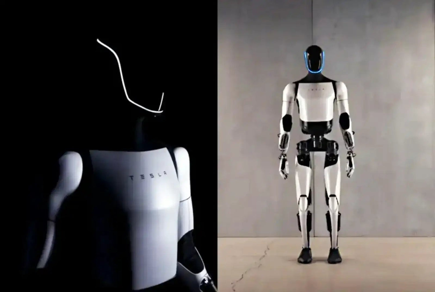 Breaking News: Tesla Optimus Humanoid Robot Set to Hit the Market by 2