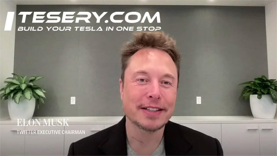Deciphering Elon Musk's Vision: Succession, Stewardship, and Tesla's E
