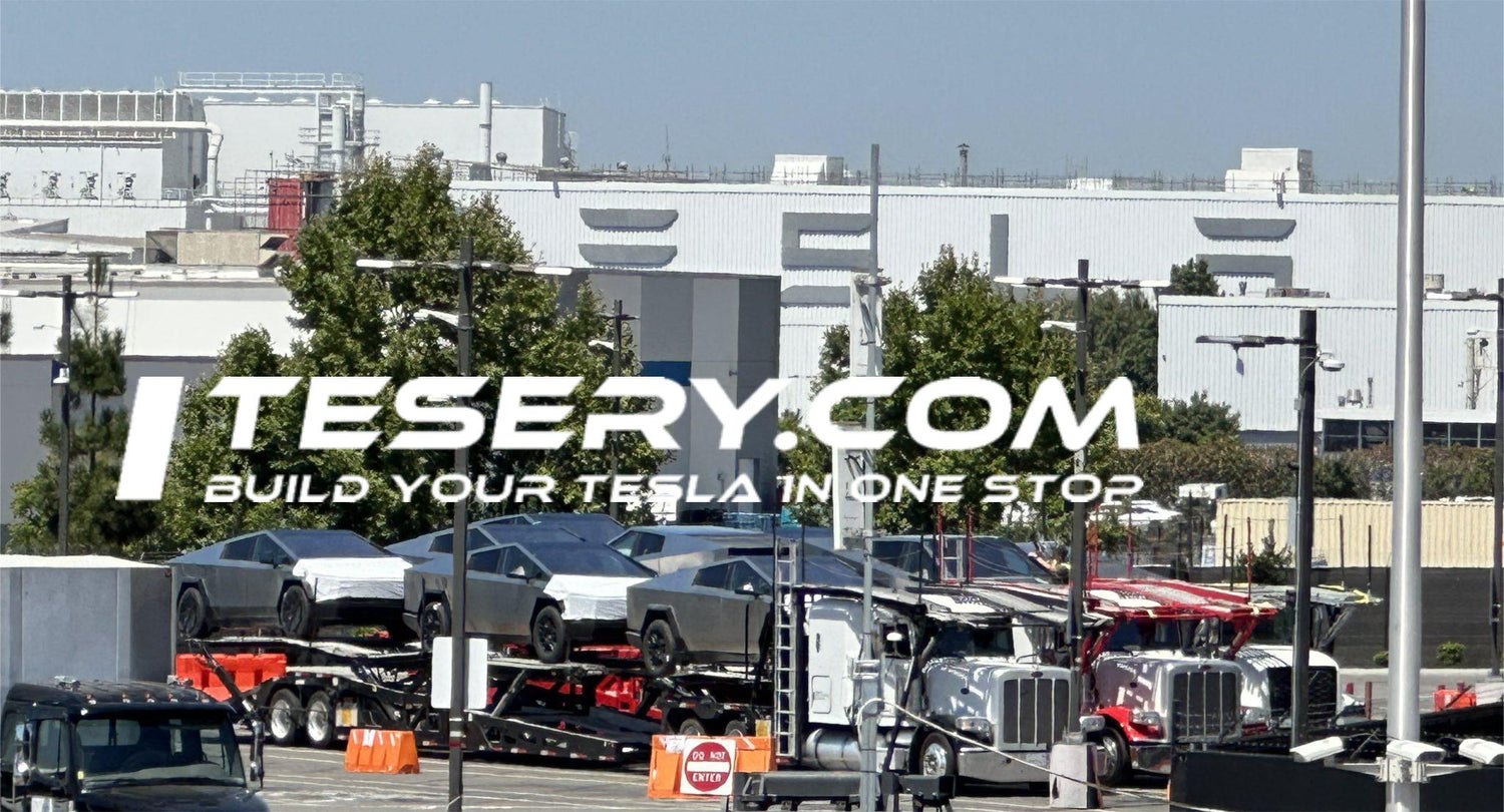 Tesla's Fleet of Cybertrucks Sparks Excitement at Fremont Factory