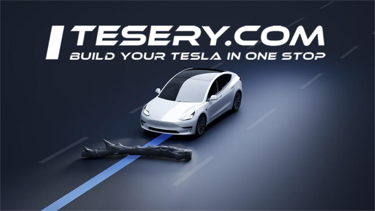 Tesla's Surprise Move: Record-Breaking Model Discontinuation and Price ...