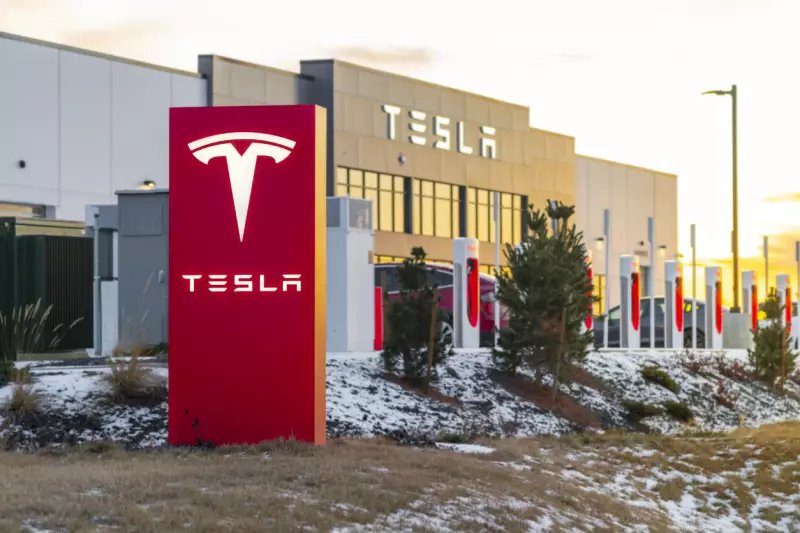 Understanding the Tesla Data Breach: Lessons in Data Security and Priv
