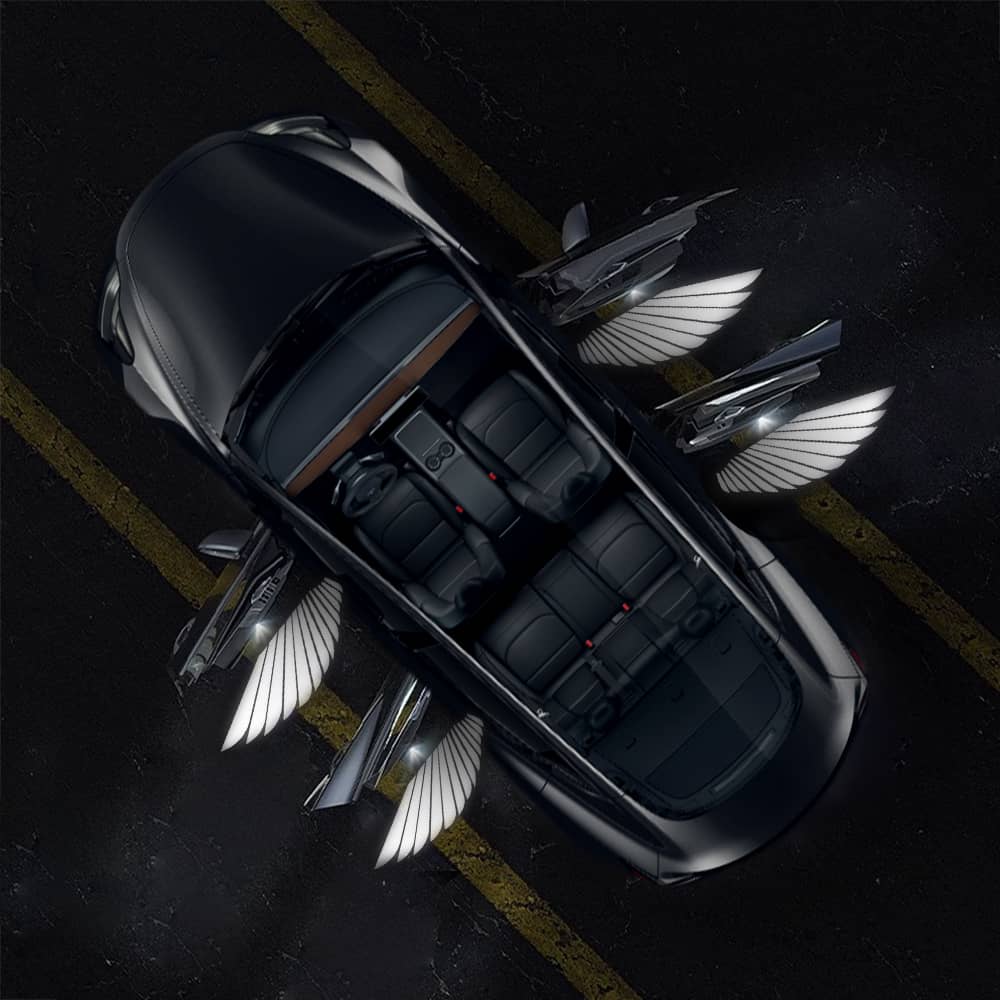 Tesla Angel Wings Door Welcome Lights for Model 3/Y/S/X