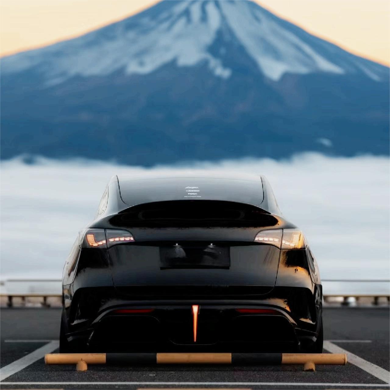 Tesla Dragon Scale Tail Lights for Model 3/Y