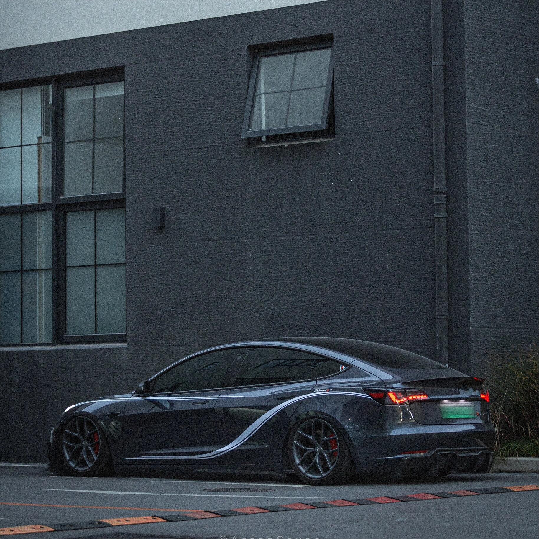Tesla Dragon Scale Tail Lights for Model 3/Y
