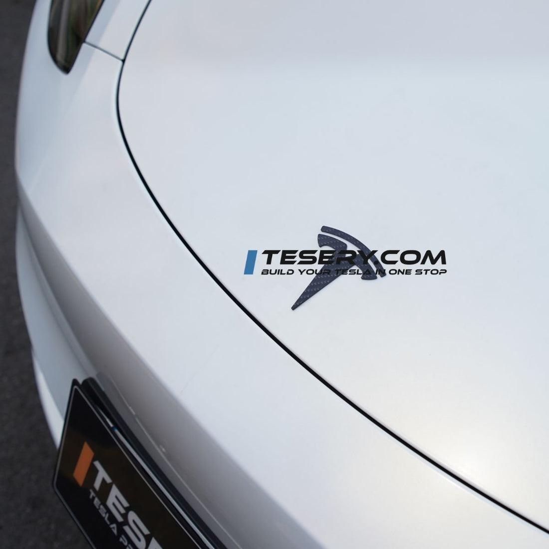 Tesla Model 3 / Y Carbon Fiber Logo Letters Emblem