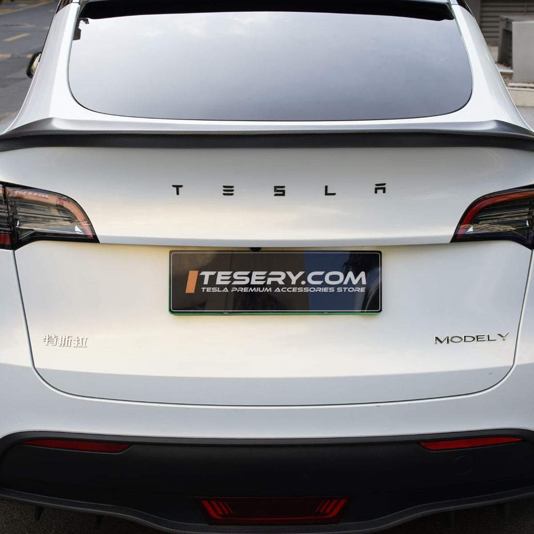 Tesla Model 3 / Y Carbon Fiber Logo Letters Emblem
