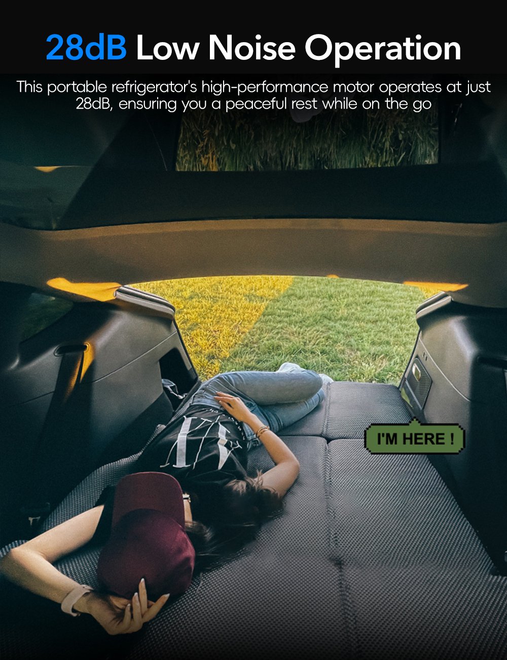 Tesla Model Y Refrigerator | Compact & Efficient for Trunk