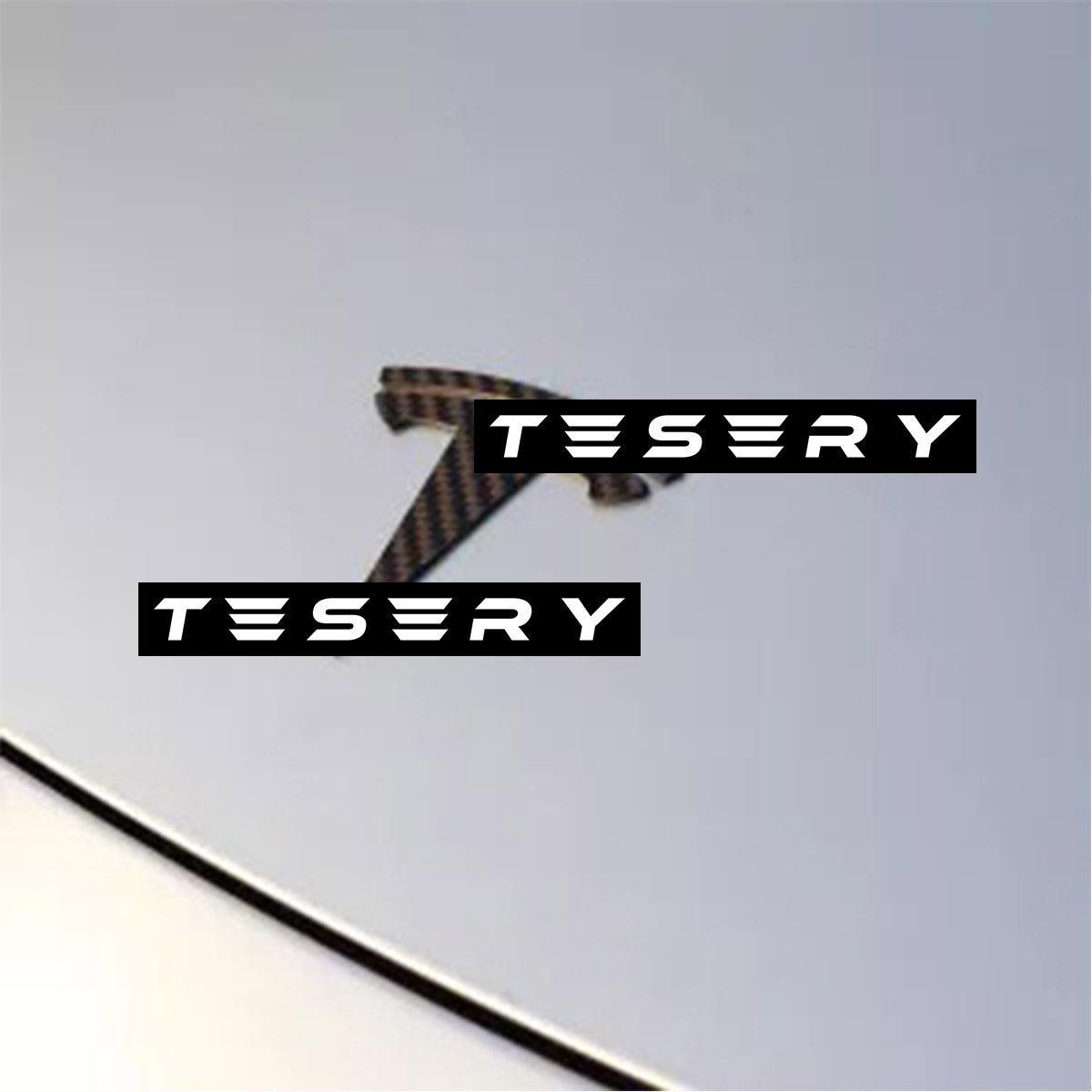 TESERY Logo Cover Front Badge Rear Letters Emblem for Tesla Model 3 / Y ...
